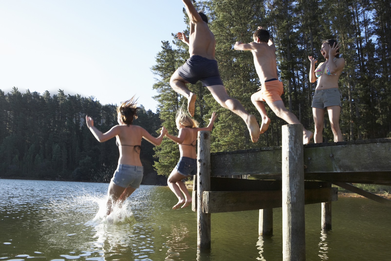 Taking The Polar Bear Plunge taking-the-polar-bear-plunge